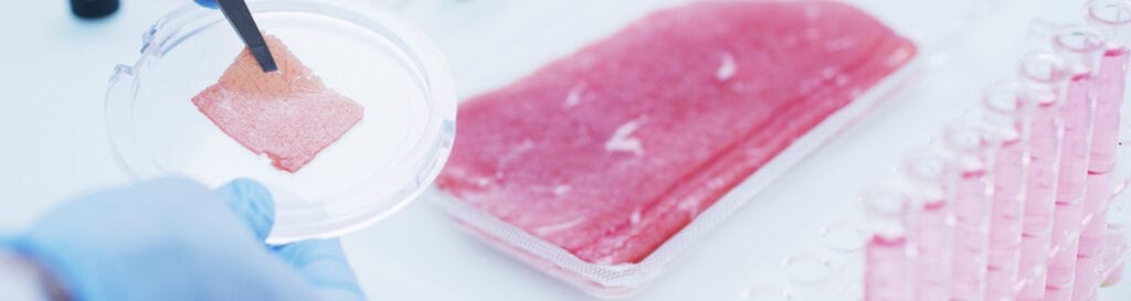 Cultured Meat Safety And Regulation Leatherhead